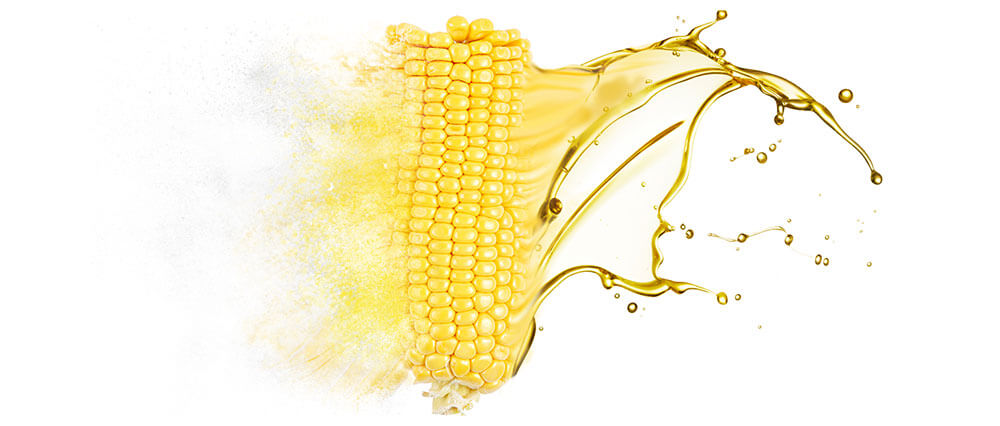 Phytosterols concentrates bulk supply & manufacture. Know what's in ...